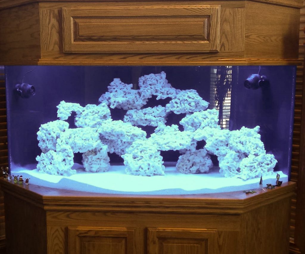 Aquarium Photo Gallery • Aqua FX Aquariums
