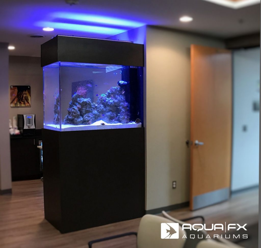 Aquarium Photo Gallery • Aqua FX Aquariums